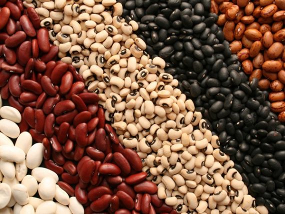 See Beans Varieties In Nigeria