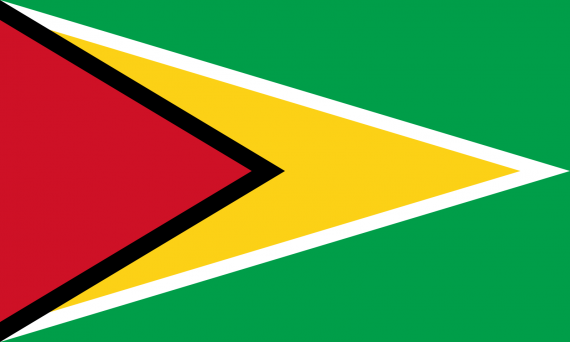 National Flag Of Guyana : Details And Meaning